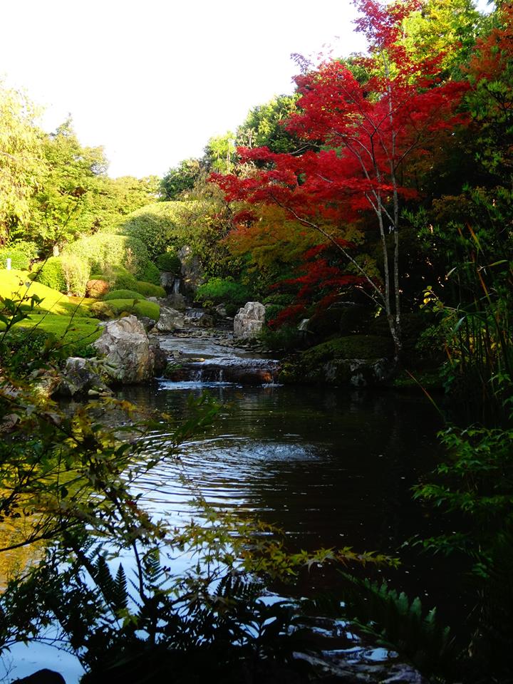 Discover the secrets of Kyoto